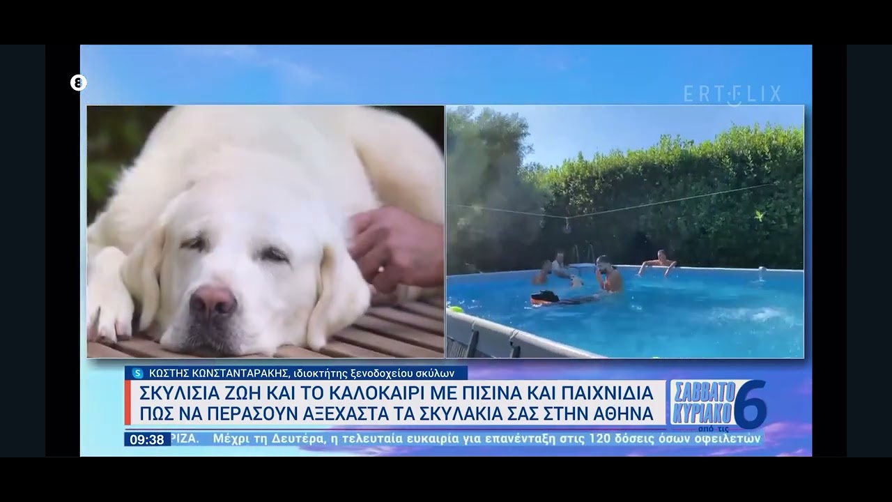 Το I Love Dogs παρουσιάστηκε στην ΕΡΤ1 στην εκπομπή “ΣΑΒΒΑΤΟΚΥΡΙΑΚΟ ΑΠΟ ...