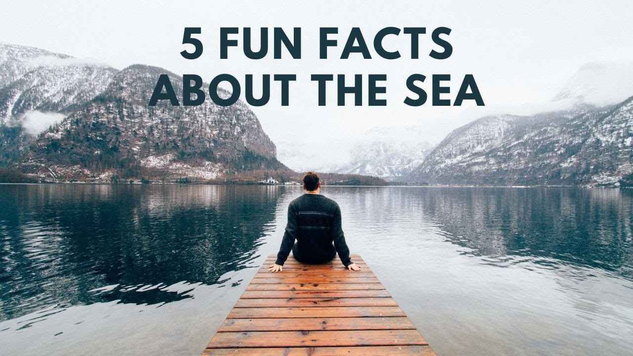 Interesting sea facts || Amazing facts about the sea || 5 unusual facts ...