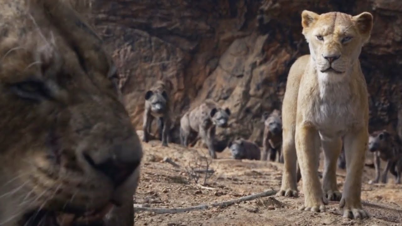 The Lion King Scar And Sarabi