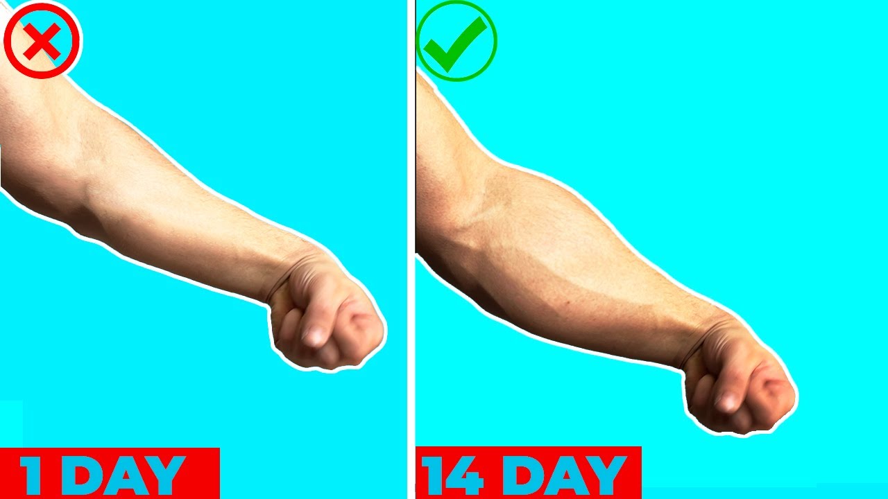 3 Best Exercises For Forearms | Home Workout - YouTube
