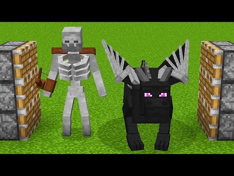 ender dragon + mutant skeleton = ??? - YouTube