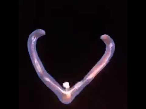 Membuat love dengan Tresenme - YouTube