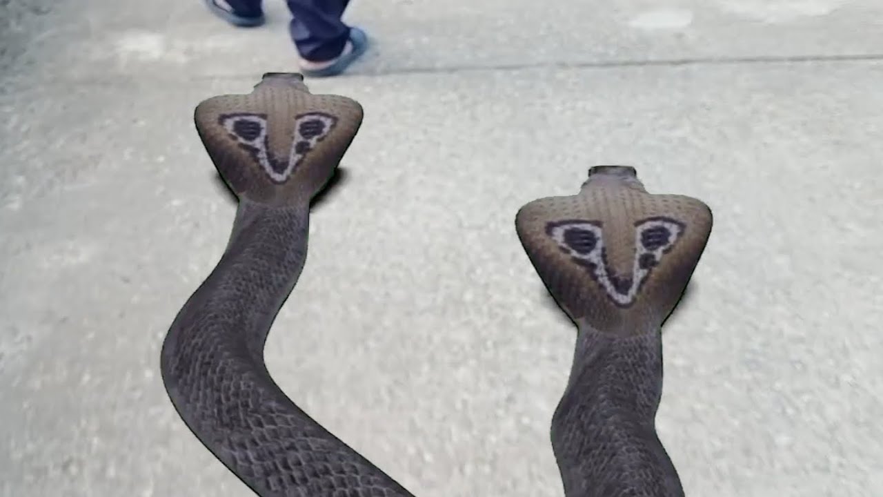 omg snake chasing video in real life👉️🐉| snake chased from behind 😥😥 # ...