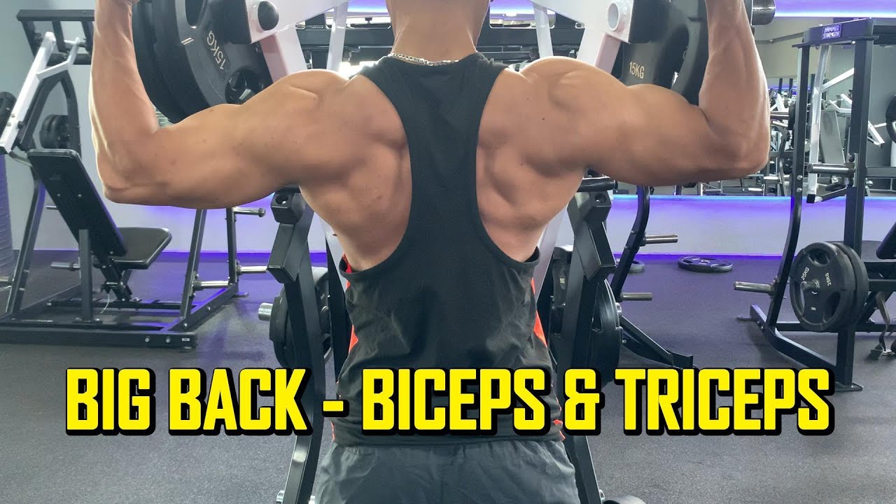 Back Progression Workout! Bi's & Tri's To Finish - YouTube
