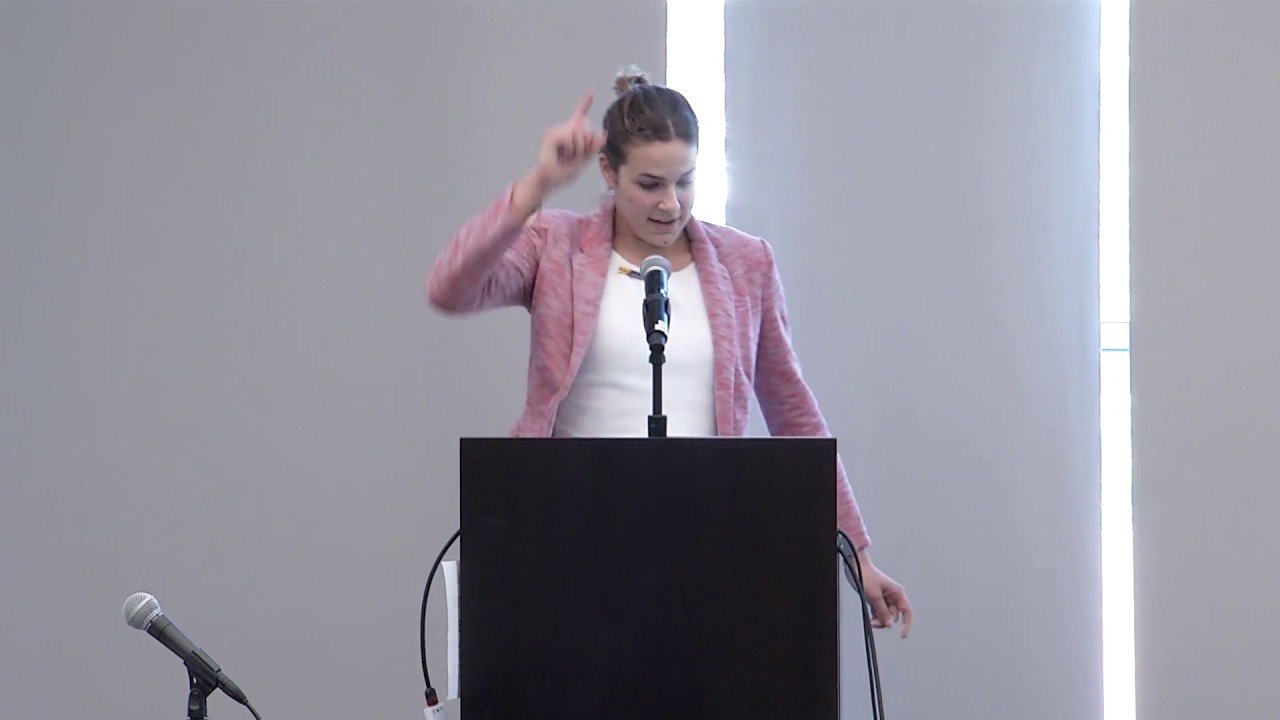 Testimony to Free Speech Commission, February 9, 2018 - YouTube