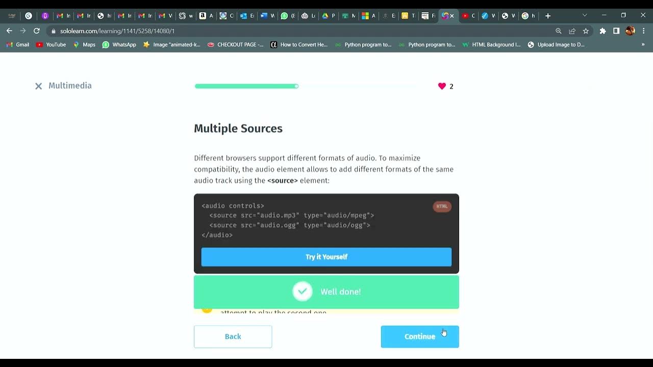 Multimedia|13.1| More HTML Elements |Web Development Fundamentals |SOLOLEARN Answers - YouTube