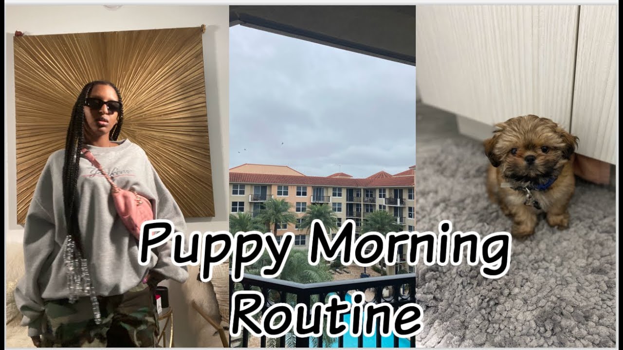 2022 Puppy Morning Routine - YouTube