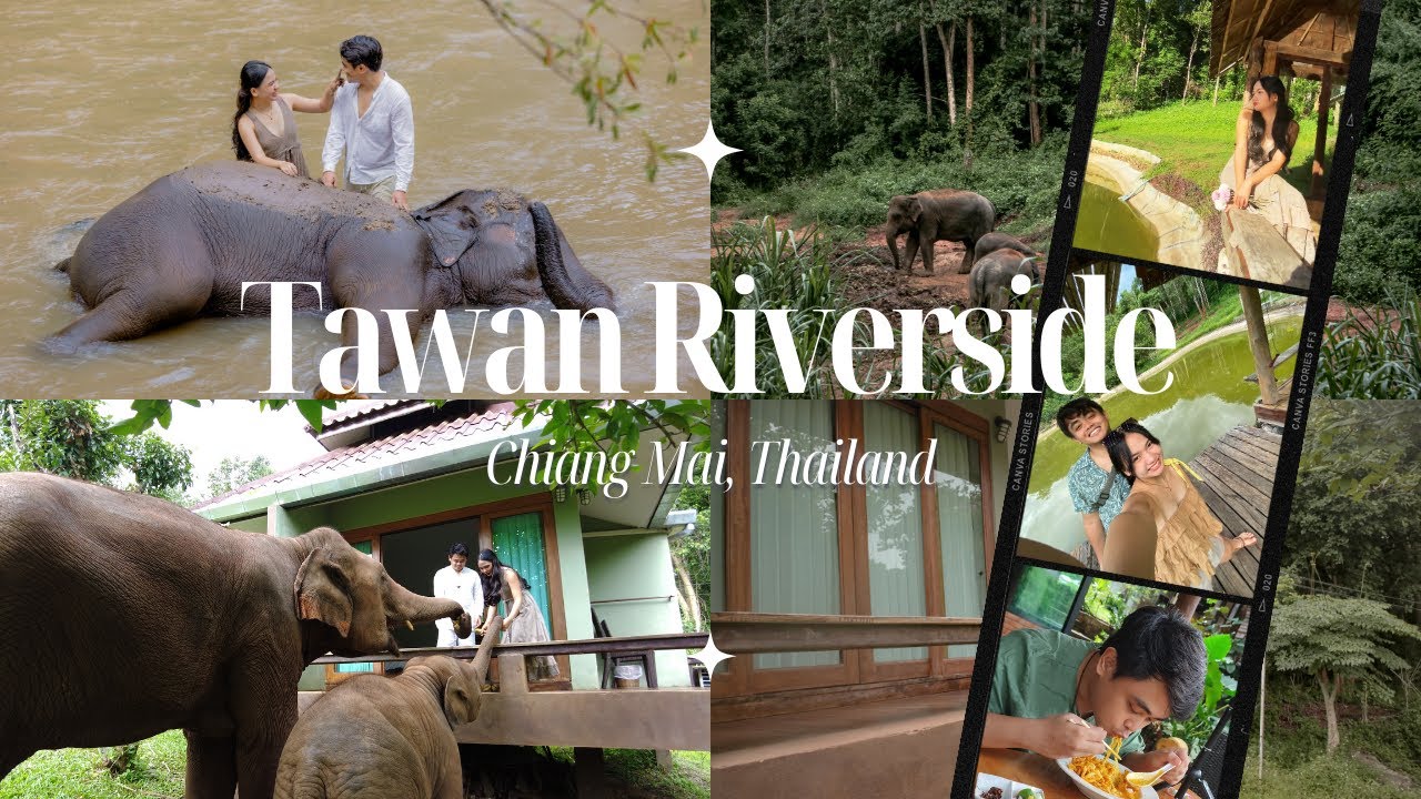 Tawan Riverside Chiang Mai Thailand l Thai Mukbang l Elephant Sanctuary ...