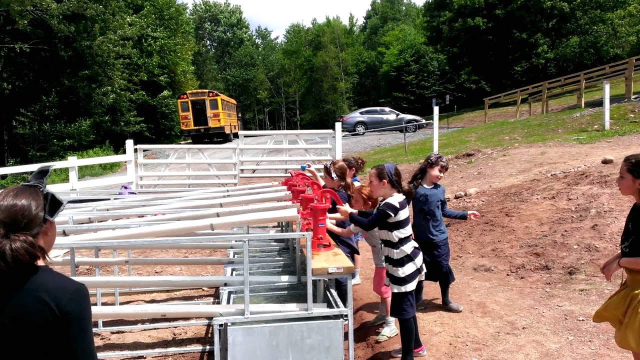 Duck Racing at Family Fun Farm - YouTube
