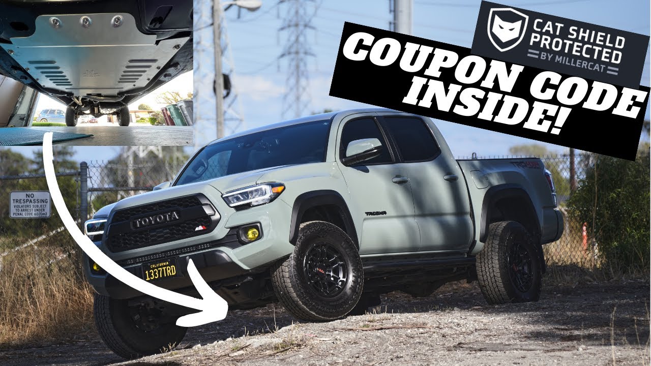 Why You NEED a MillerCat CatShield! MillerCat Cat Shield Protection and ...