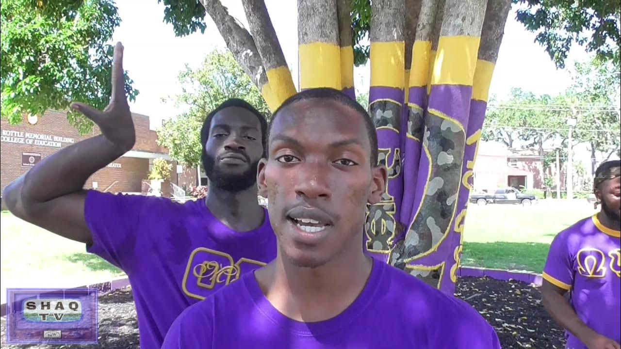 Q DOGS @ THE QUAD BCU - YouTube