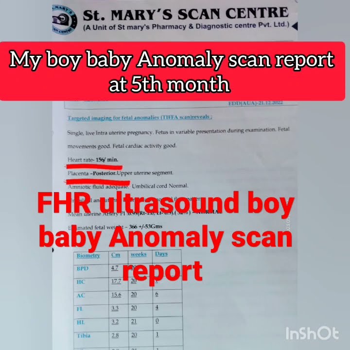 Ultrasound boy baby Anomaly scan report #shorts #genderreveal #boybaby ...