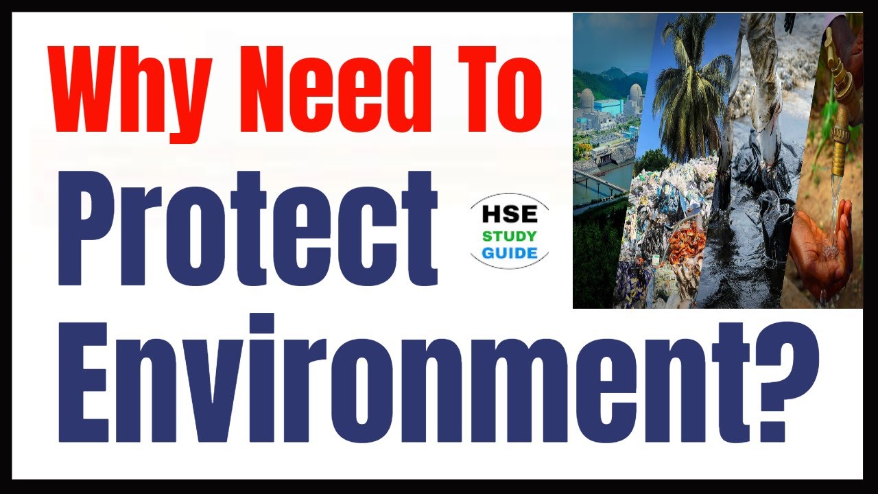 Why Need To Protect Environment | What Are The Basic Reason To Protect ...