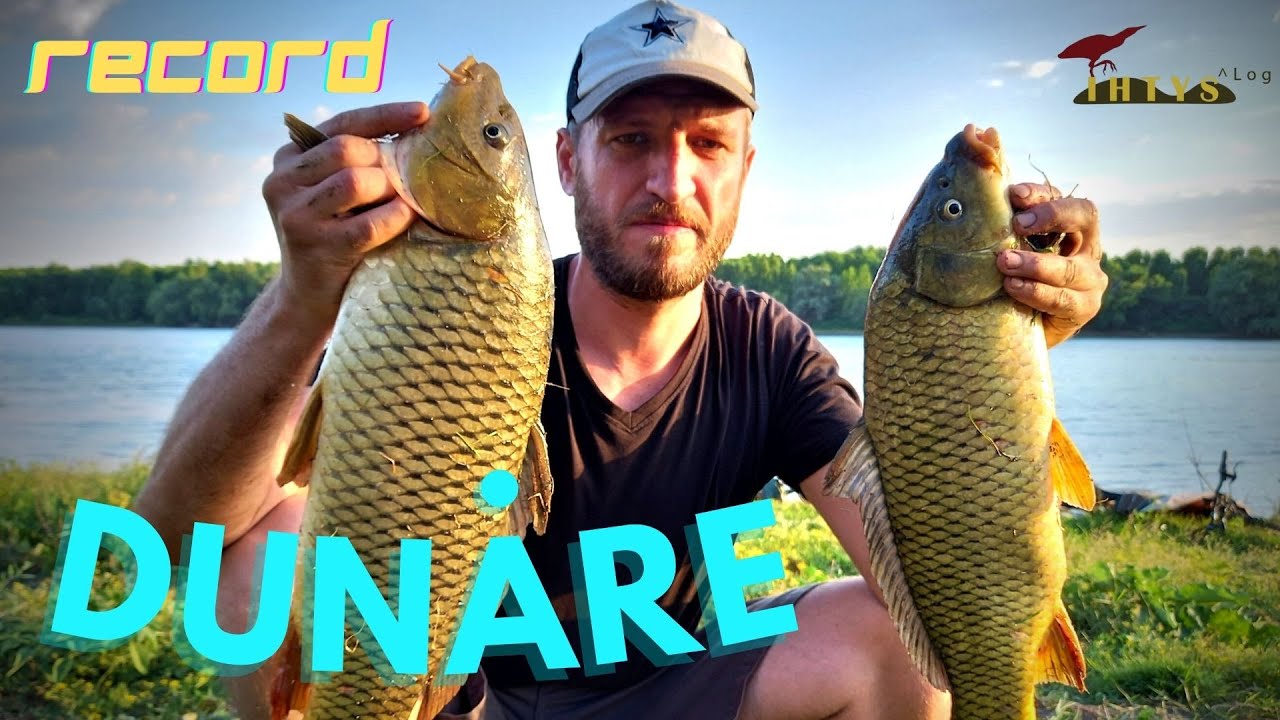 Pescuit la Dunăre. Îmi bat recordul de două ori la specia crap sălbatic ...