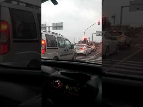 HASAN KAYA🌹 YABAN GÜLÜ 🌹