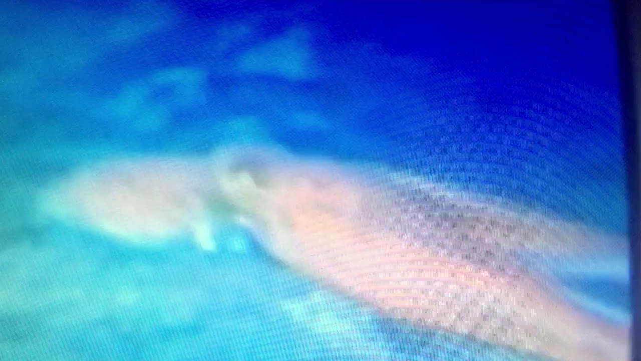 Animal Numbers (123s): 8 Arms Of An Octopus 🐙 - YouTube