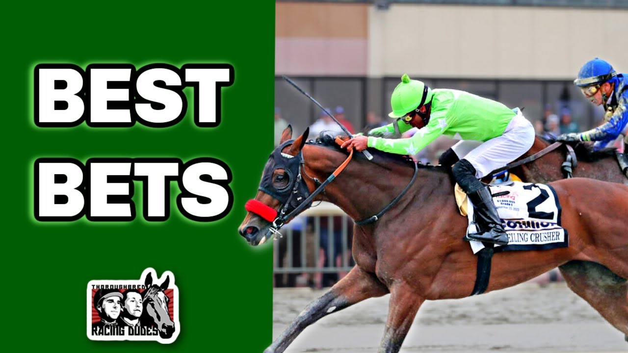 Racing Dudes BEST BETS Recap September 26, 2023 | Horse Racing Picks ...