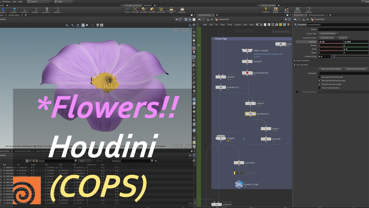 Flowers & Houdini COPs !! - YouTube