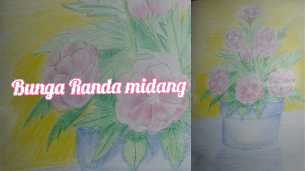 Menggambar bunga randa midang | cantik sekali😍😍 - YouTube