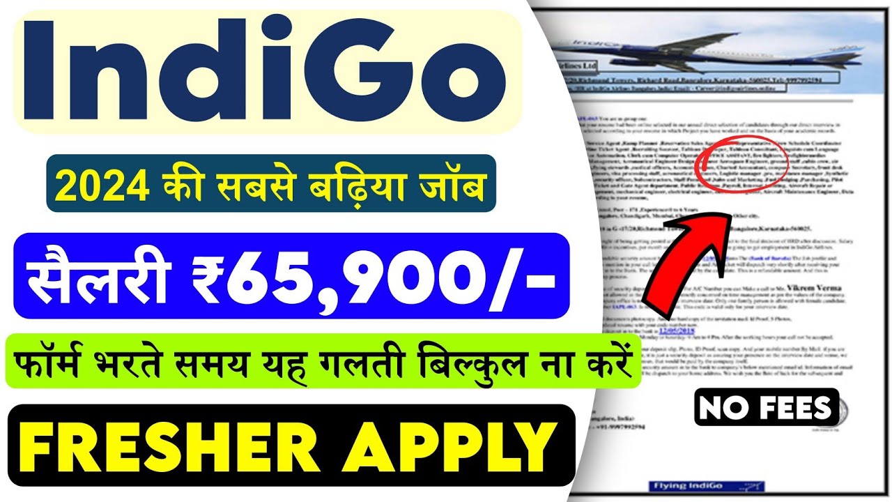 Indigo Job Vacancy 2024 Airport Job For Fresher || IndiGo Airlines ...