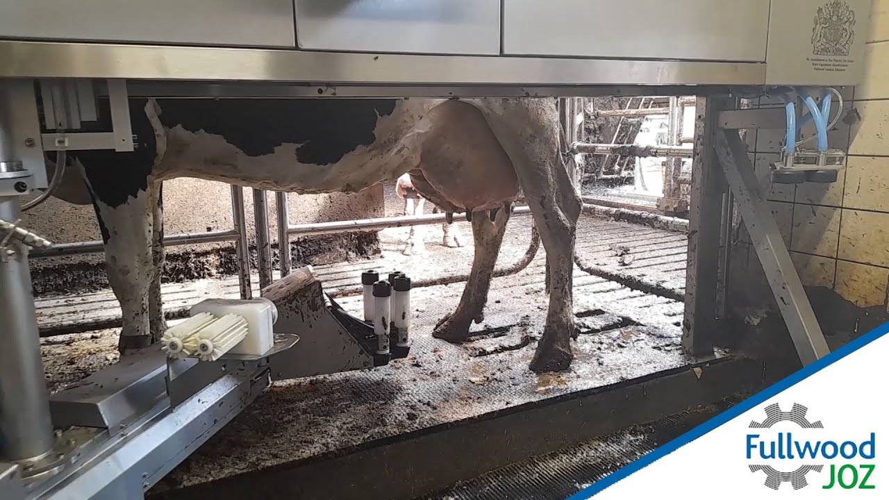 Fullwood JOZ Merlin M2 milking robot - Jacobs Farm - YouTube