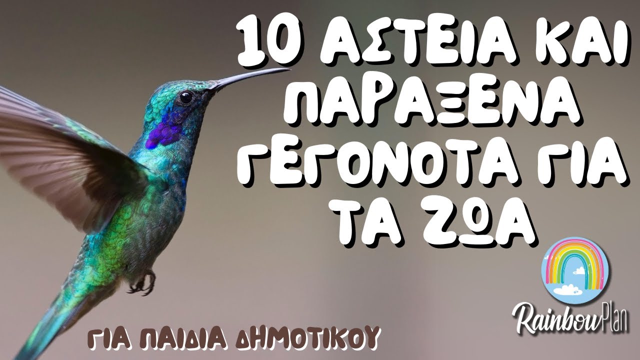 10 Αστεία και Παράξενα Γεγονότα για τα Ζώα - YouTube