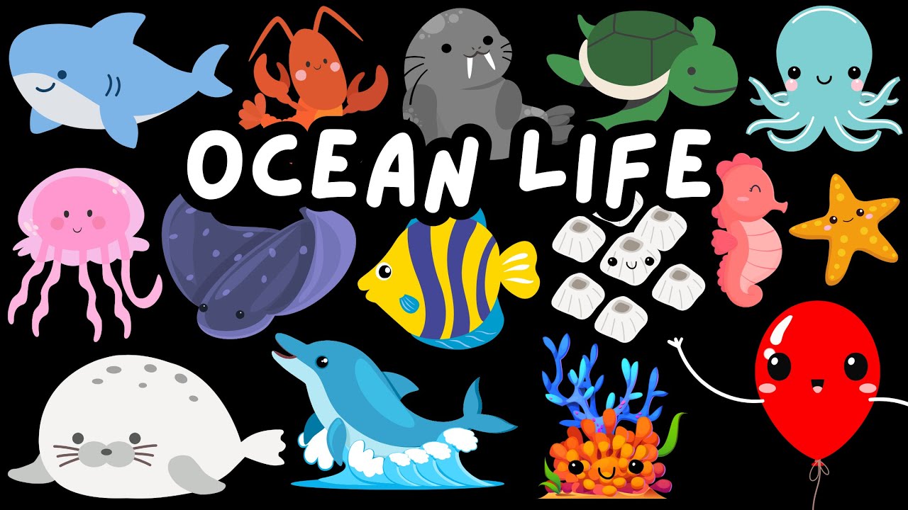 20 Ocean Life Words for Kids 🐬🐙🦀- Learn Ocean Life Words in English ...