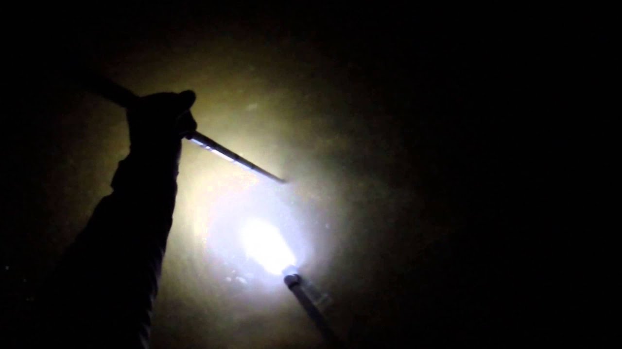 Flounder Gigging & Stingray Dodging - YouTube