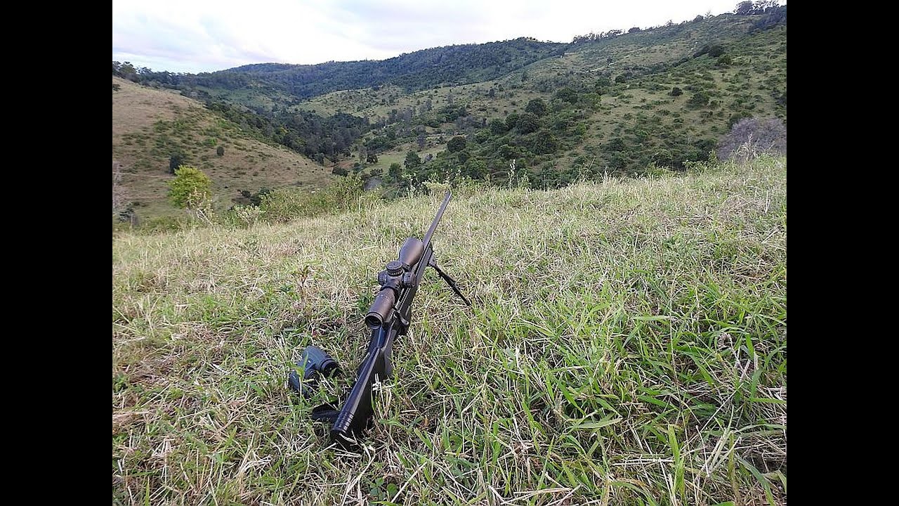 one shot target practice - YouTube