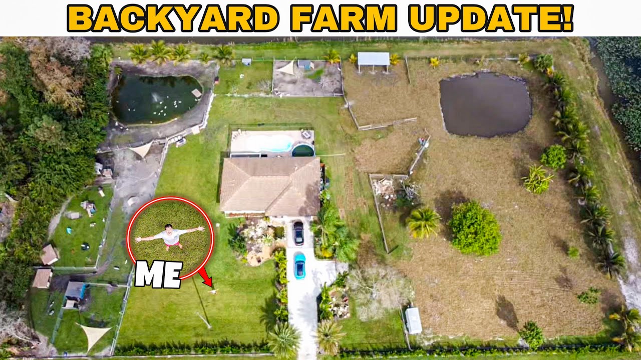 ALL My BackYard Projects UPDATE + FEEDING FARM ANIMALS!! - YouTube