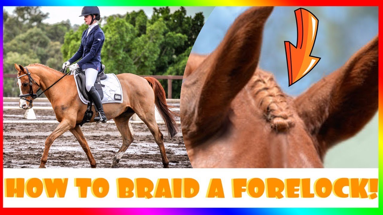 How To Braid A Forelock! - YouTube