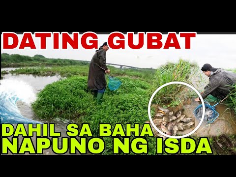 Dating Gubat Napuno ng isda dahil sa baha + Lumuha si Bro