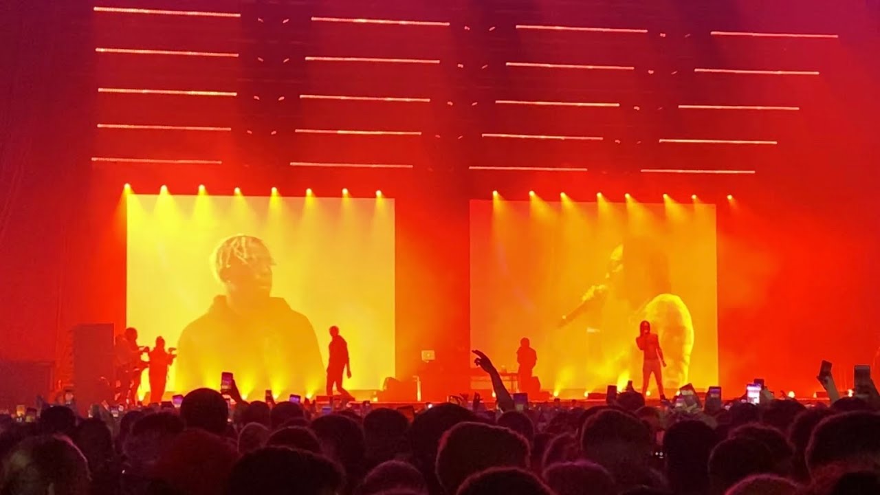 D Block Europe Live - Alexandra Palace London 2019 - YouTube