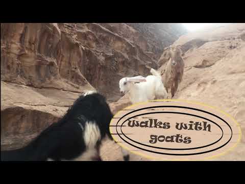 Malakot. Desert tourist camp(Jordan)/Малакот.Туристический лагерь в пустыне Вади Рам(Иордания)