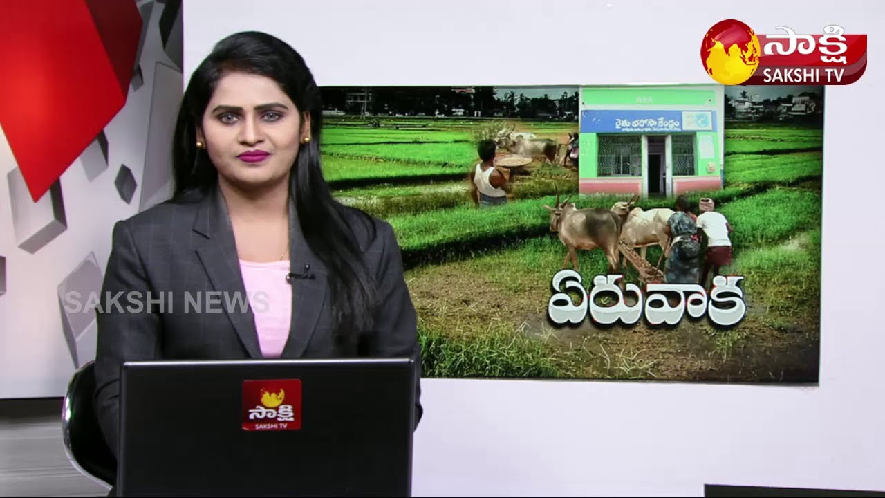 Farmers Happy Over Aboundant Rains | Intime Seeds Distribution At Rythu ...