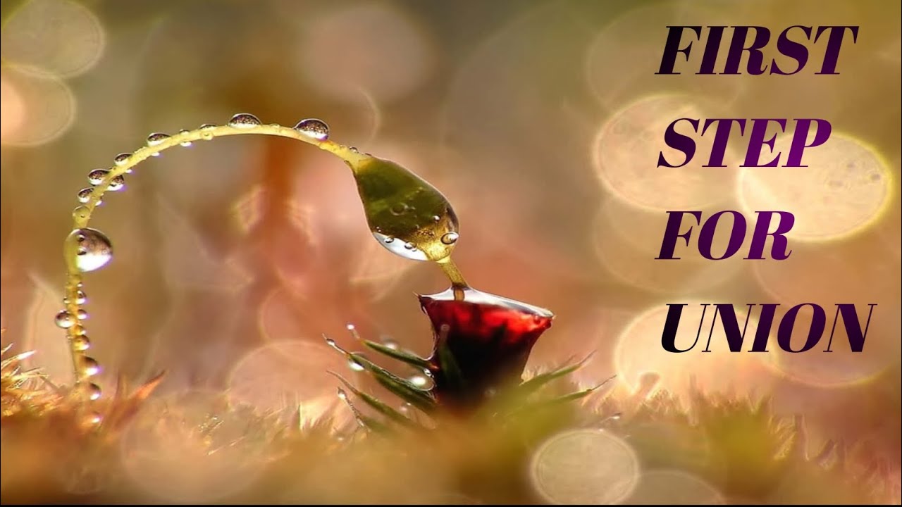 first step for union #twin flame union #inner union #divine union ...