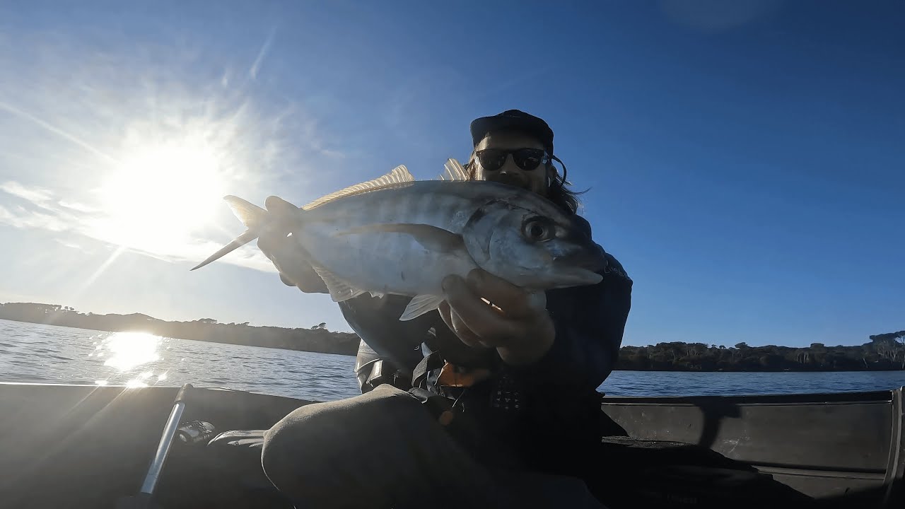 Silver Trevally and Snapper in Ansons Bay Tasmania - YouTube
