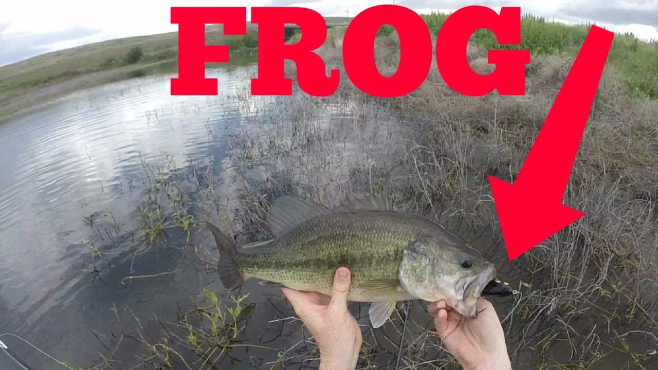 Exploring Eastern Washington Ponds - YouTube