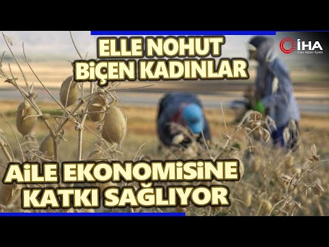 Güneşin Altında 10 Saat Çalışarak Ekmek Parası Kazanıyorlar