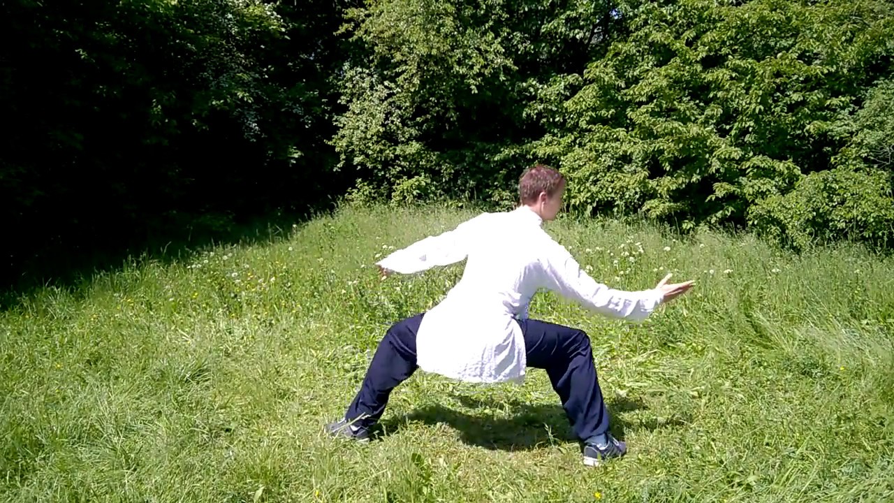 Wudang Tai Chi 13 Internal Performance - Master Ziji - YouTube