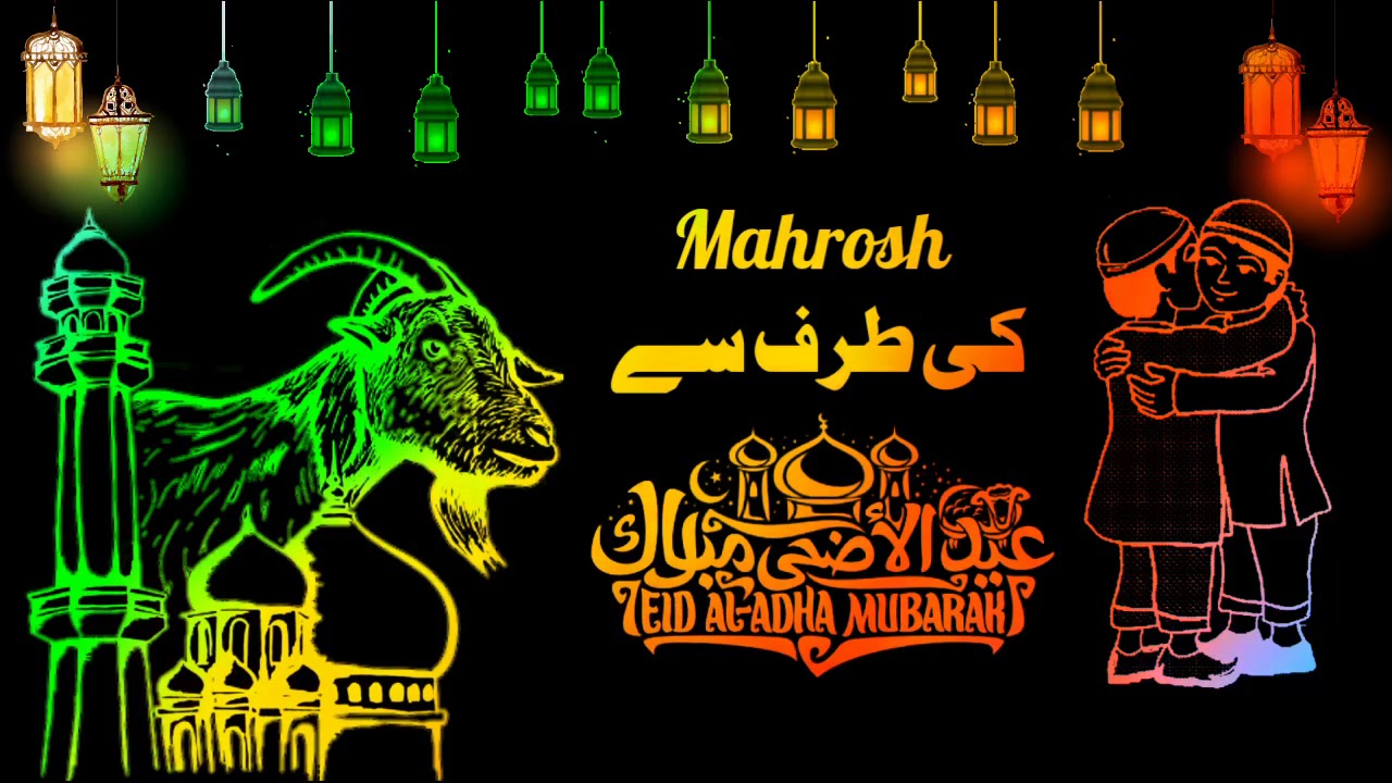 Mahrosh Name Eid ul Adha Mubarak New WhatsApp Status & Tik Tok Status ...