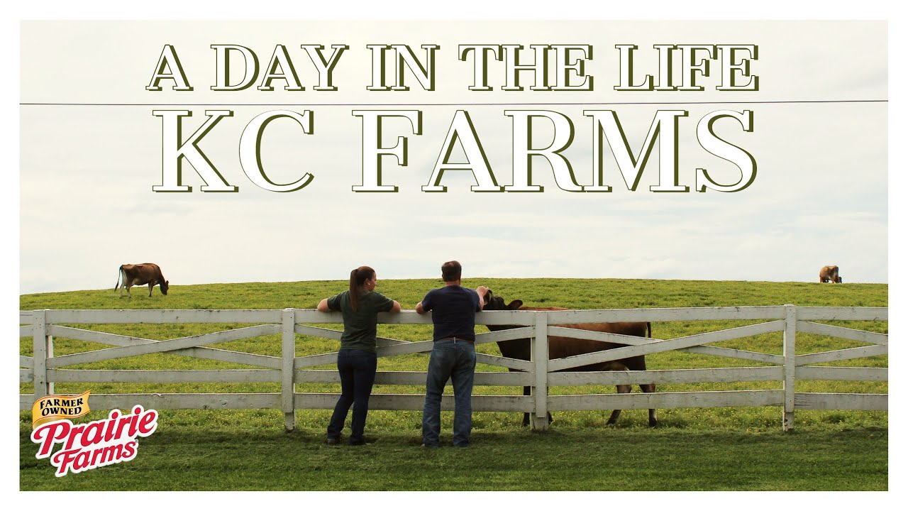 A Day In The Life At KC Farms - YouTube