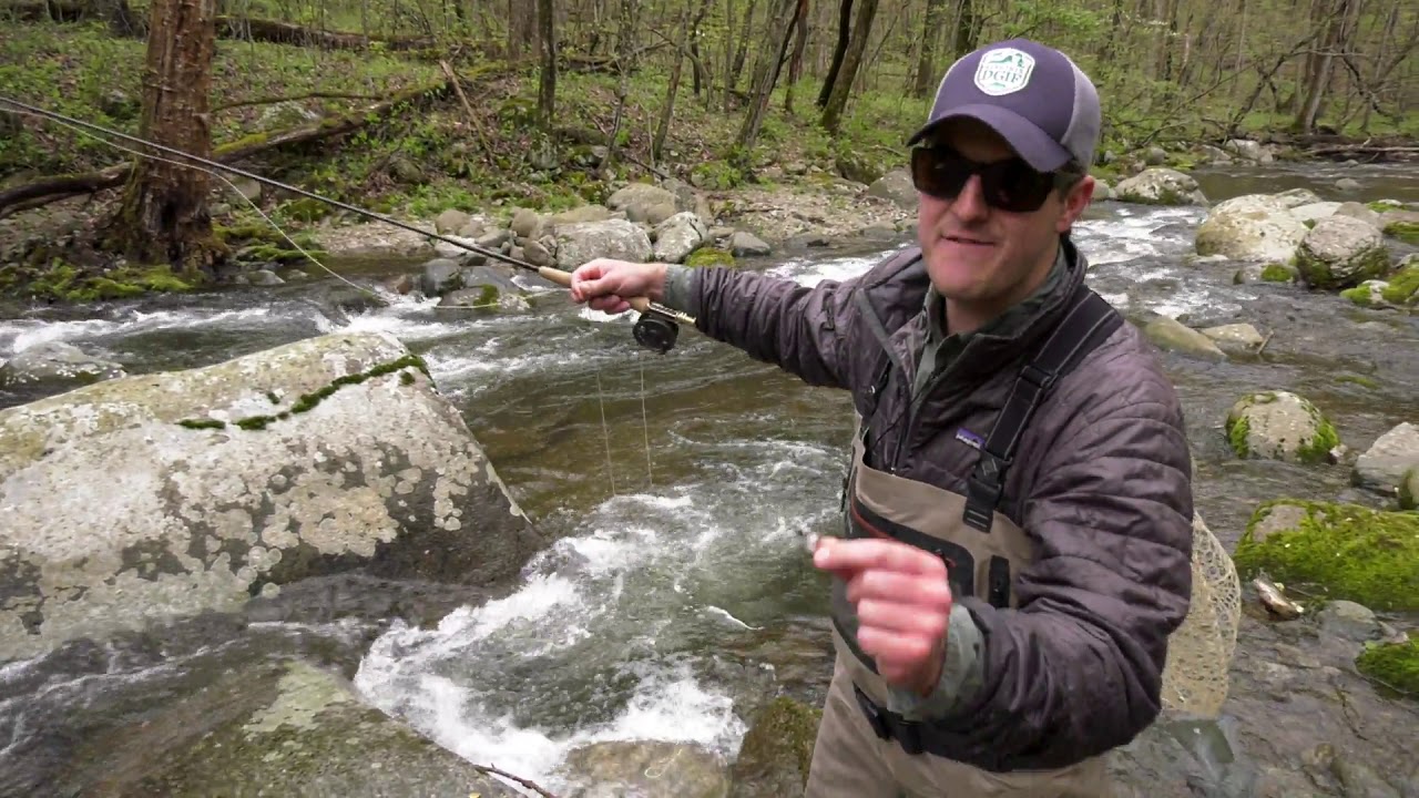 Fishing for native Brook Trout! - YouTube