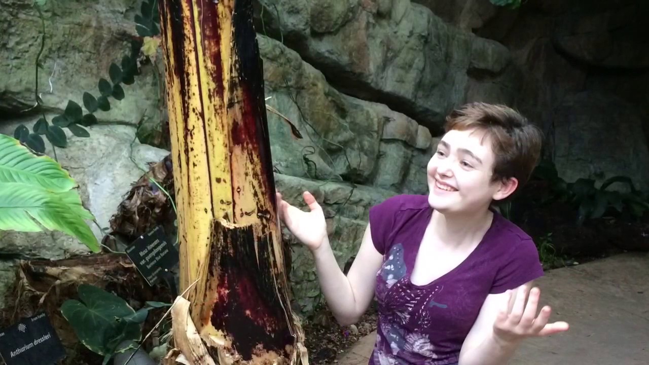 Maria, Nickolas & Sophia @ Botanical Gardens 3/23 - YouTube