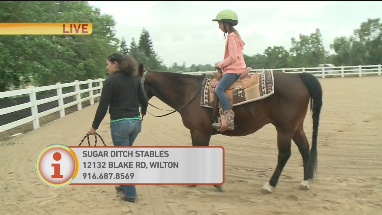 Sugar Ditch Stables Pt. 2 - YouTube