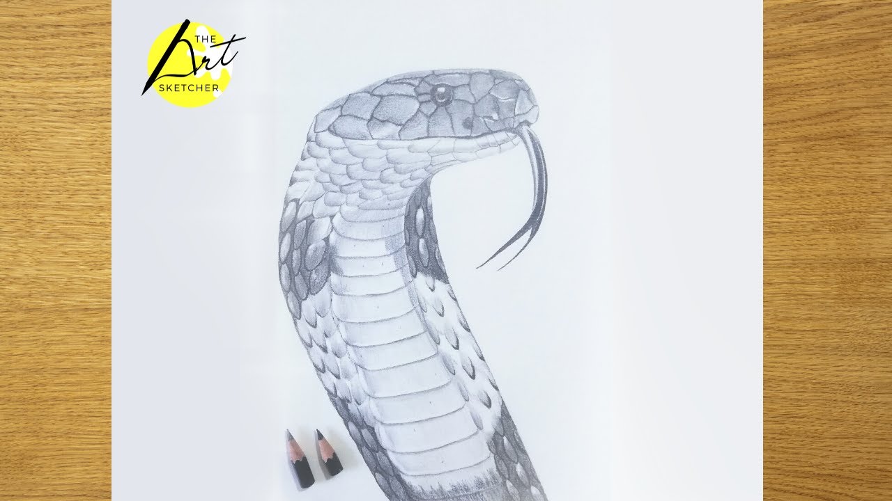 Draw a Snake with Graphite Pencil || Cobra Snake Drawing Time lapse ...