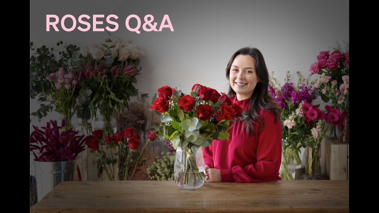 Red Roses Q&A: Everything You Need to Know About Roses! | Interflora # ...