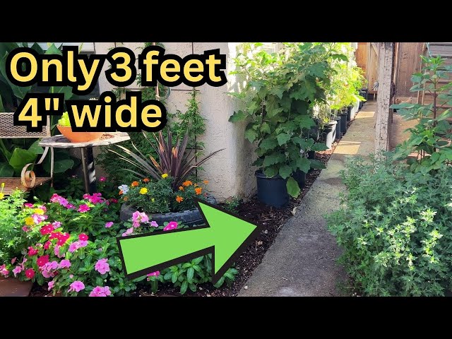 Narrow For Vegetable Garden Planning A Vegetable Garden For Beginners: