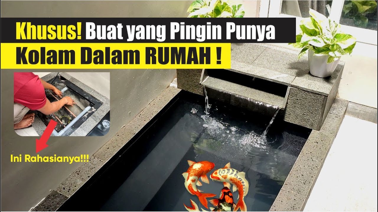 BIKIN KOLAM IKAN LEBAR 1 METER DI DALAM RUMAH | RUMAHNESIA - YouTube