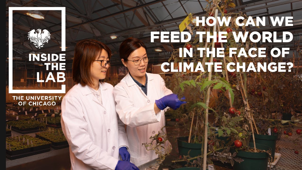He Lab: Feeding the world in the face of climate change—Inside the Lab ...